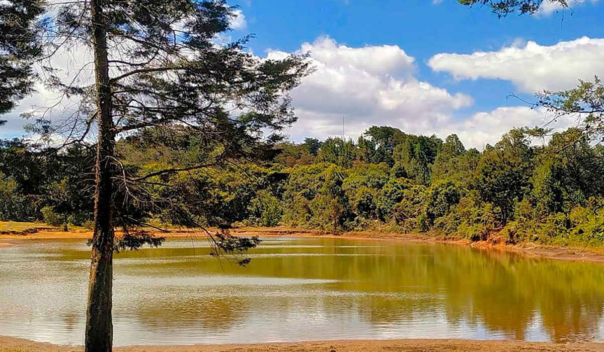 Movich Las Lomas | Movich Hotels